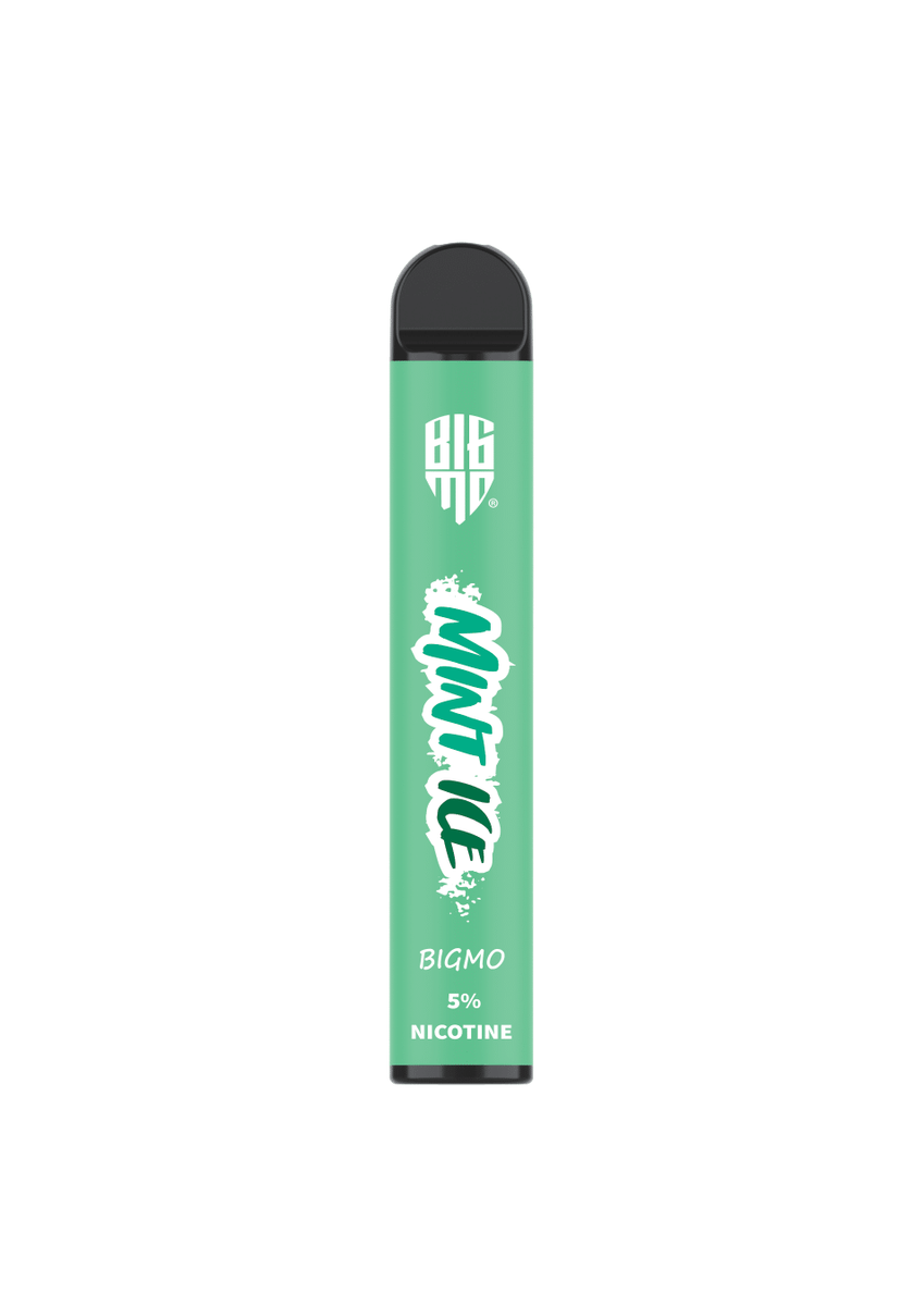 Bigmo S. Deluxe - Mint Ice 2800 Puffs – Bigmo Vapes